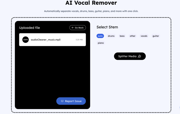 AI Vocal Remover Online Free | Remove Vocals from Song